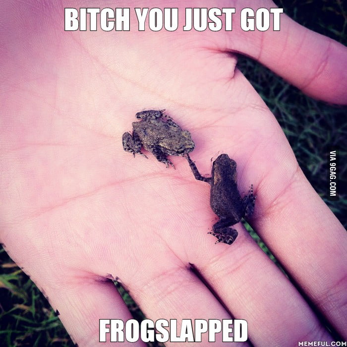 Battle of the frogs - 9GAG