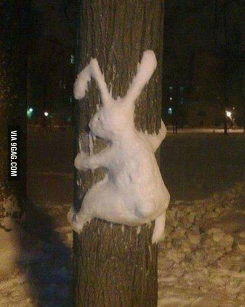 Snow bunny fail running - 9GAG