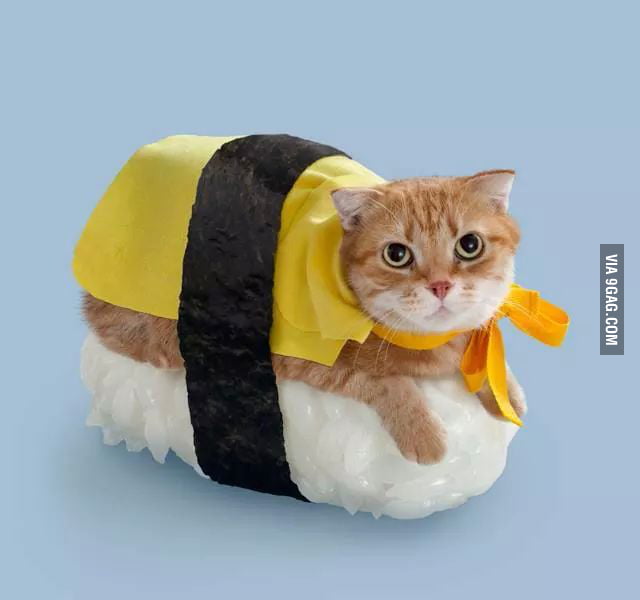Pushi! - 9GAG