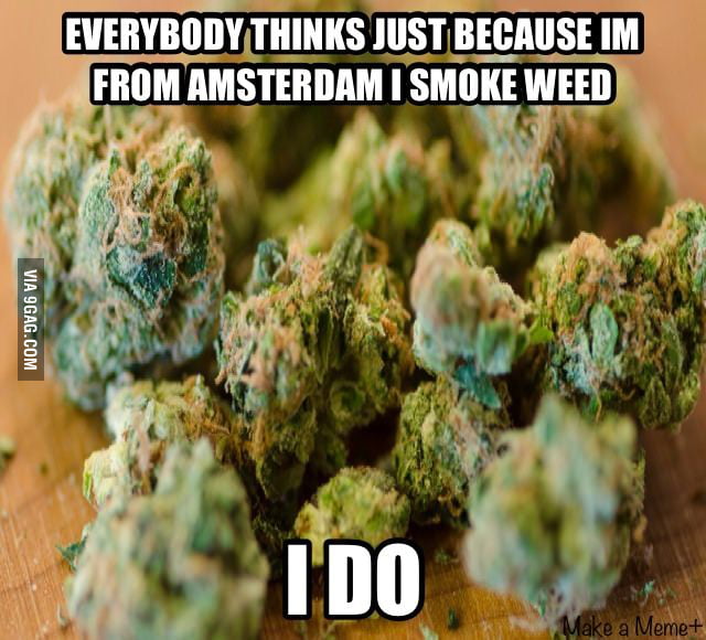 First world dutch/stoner problem - 9GAG