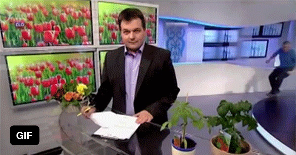 Stealth mode activated - 9GAG