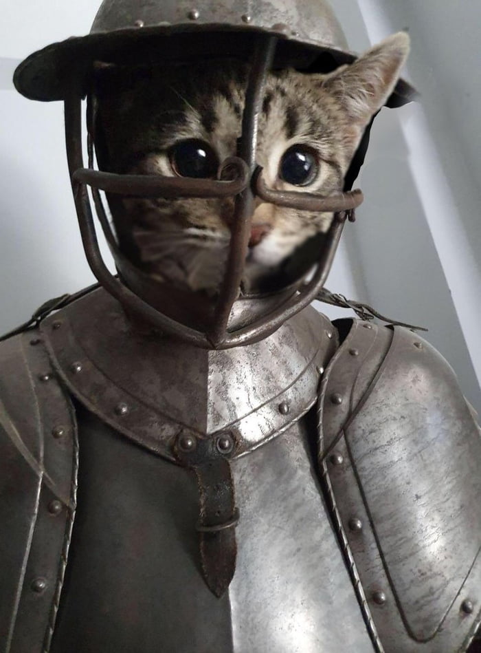 Your knight in shining armor - 9GAG