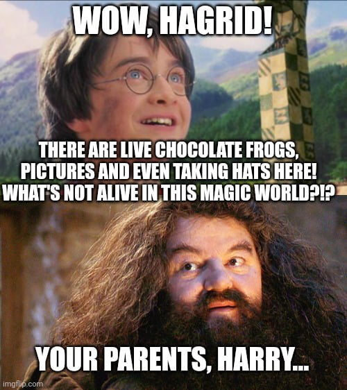 Hagrid Meme Should Not Have Done That