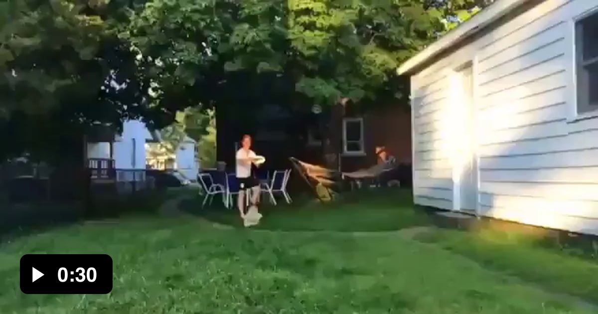 Dog runs into camera after missing frisbee. - 9GAG