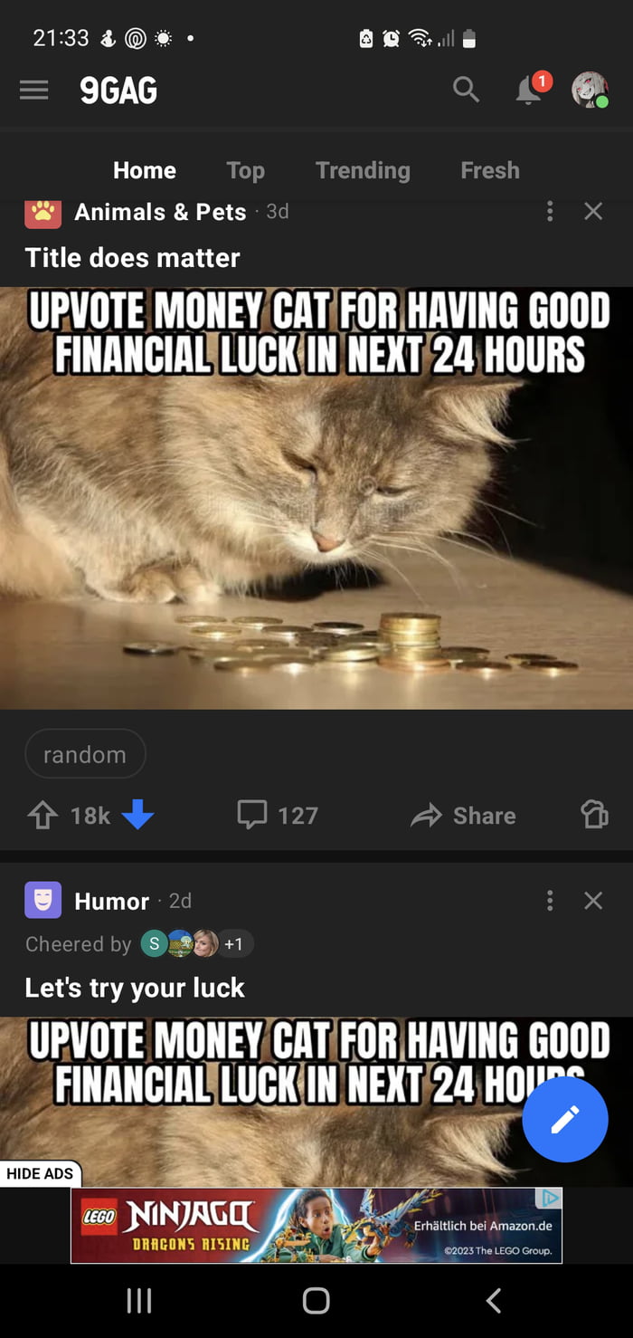 Seriously guys? uPvoTe lUcKy cAt for mOniEs - 9GAG