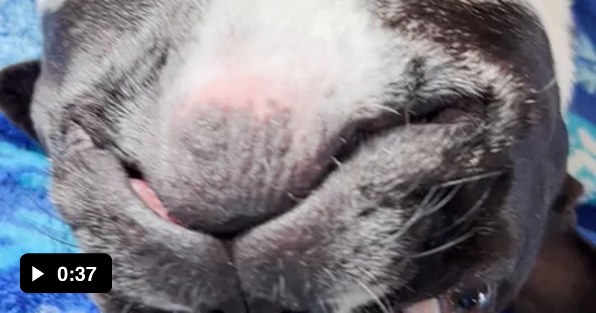 Happy snorty girls feeling good - 9GAG