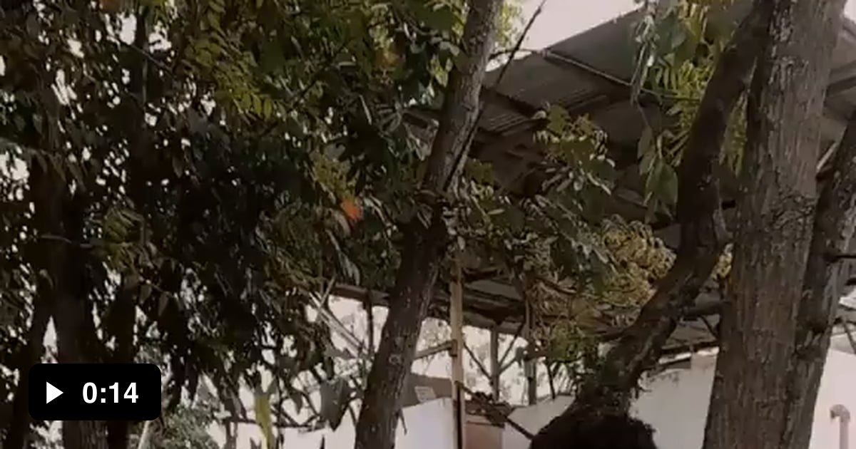 Weather report: Pagkulog at pagkidlat na may panaka-nakang bugso ng ...