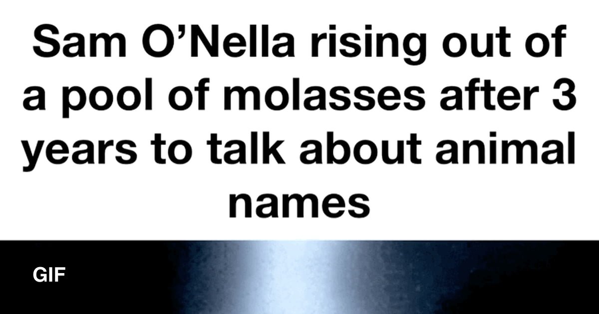 He’s returned - 9GAG