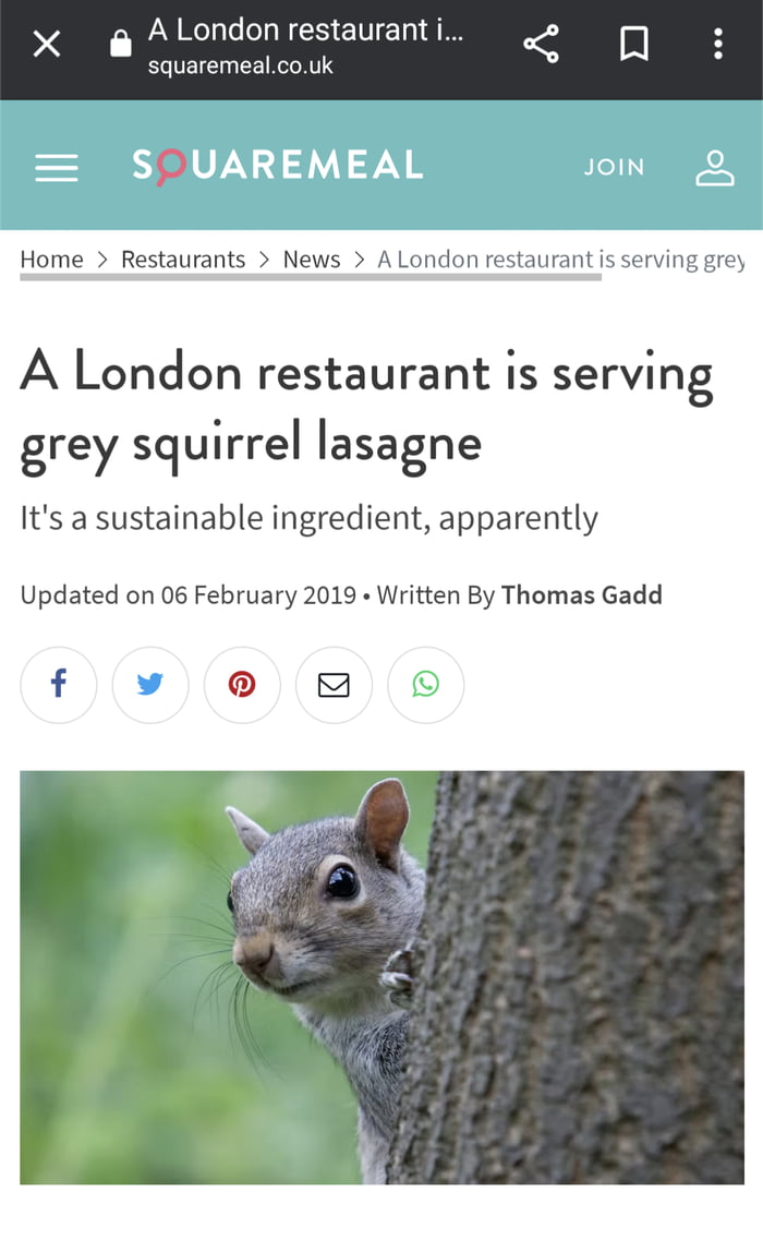 London chef Ivan Tisdall-Downes is dishing out grey squirrel lasagne at ...