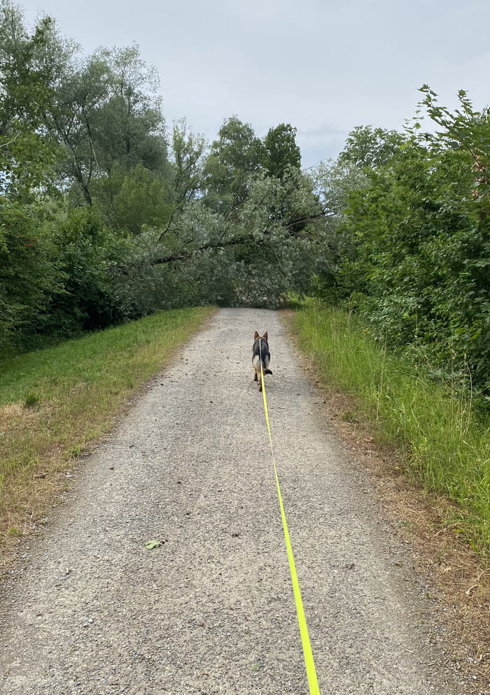 Path not unlocked yet, come back later - 9GAG