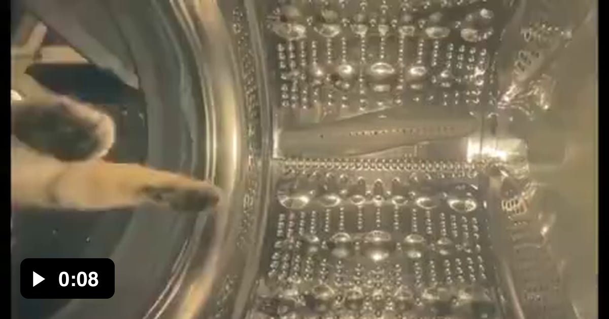 How to do the cat with zero gravity - 9GAG