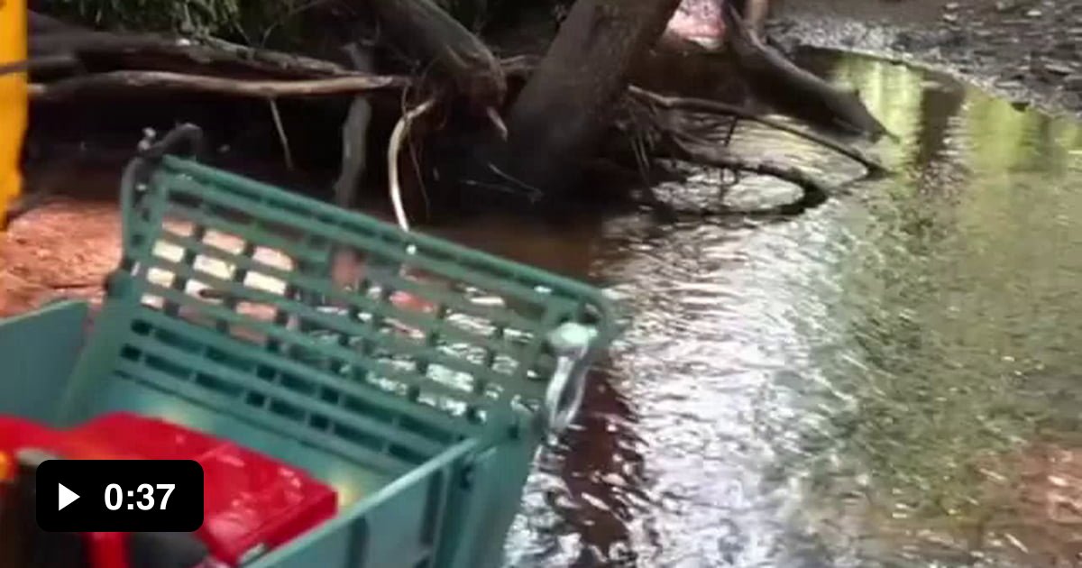 Men are such simple creature - 9GAG