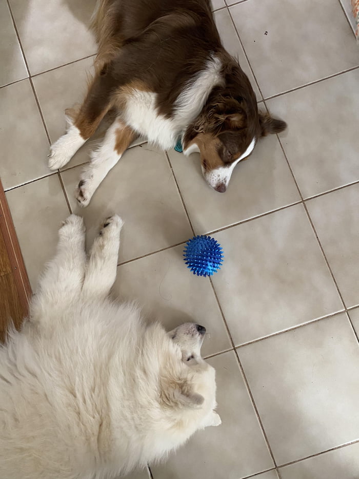 The creation of ball - 9GAG