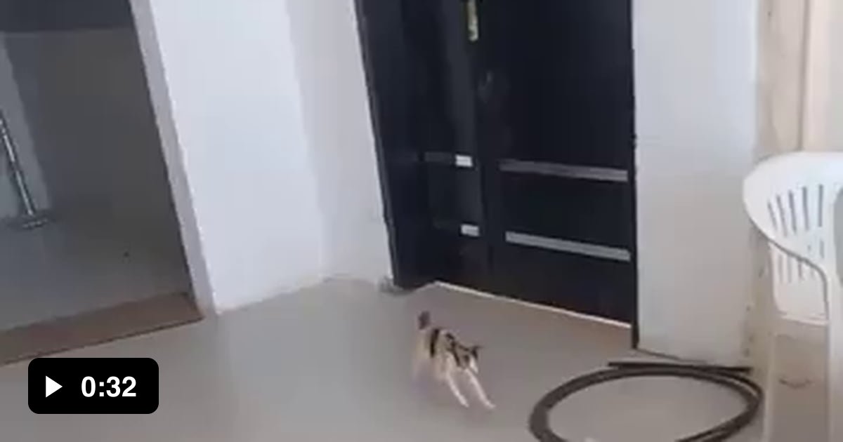 Does having a orange brain qualify - 9GAG