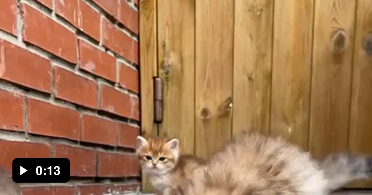 Gang of criminals loitering on the stairs - 9GAG
