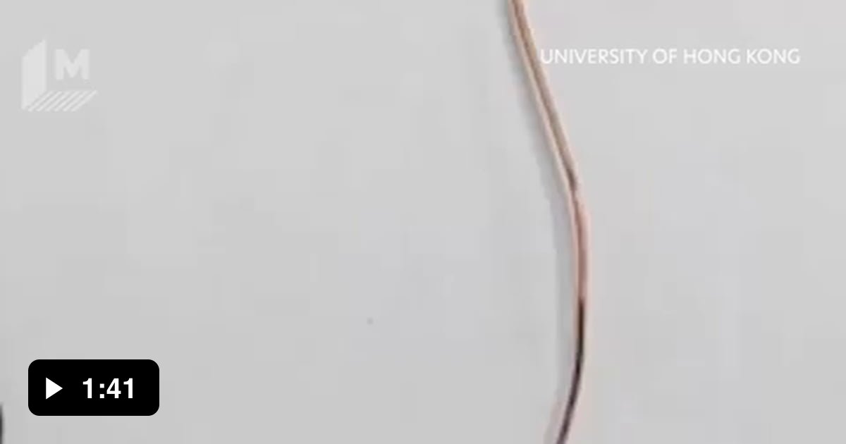 This shapeshifting slime is designed to enter the human body - Strictly ...