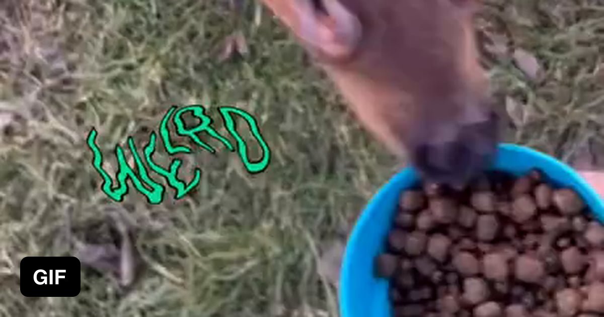 SEND YOUR WORST STUFF - 9GAG