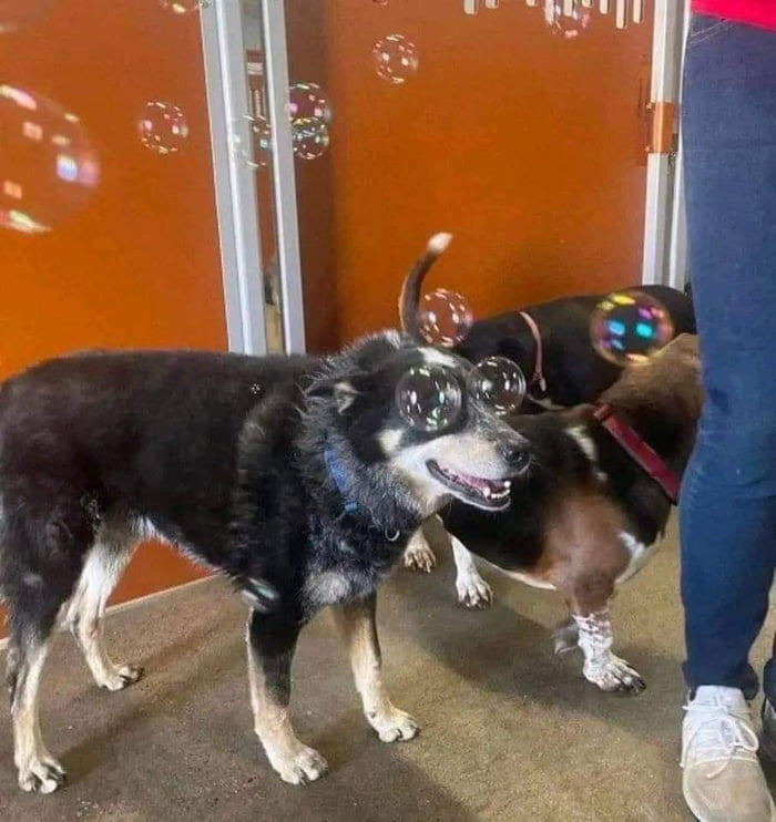 Perfectly timed photo - 9GAG