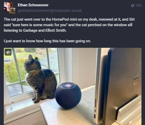 Cat collusion - 9GAG