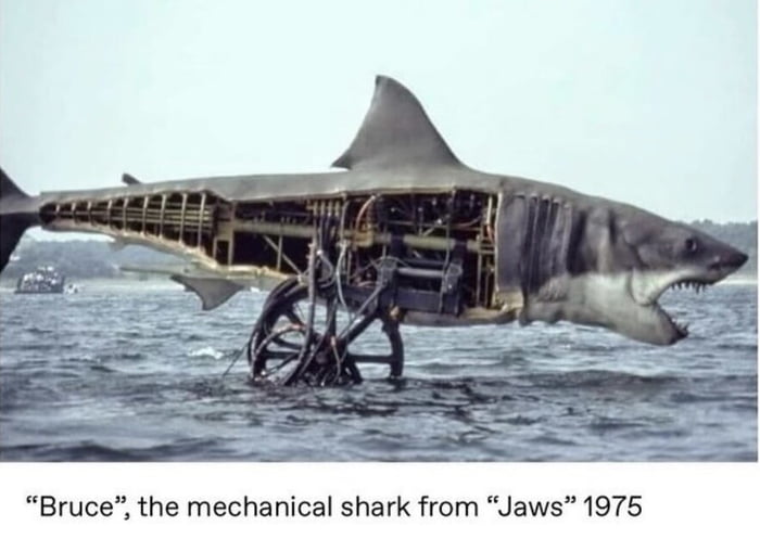 Omg, that shark is riding an unicycle! - 9GAG