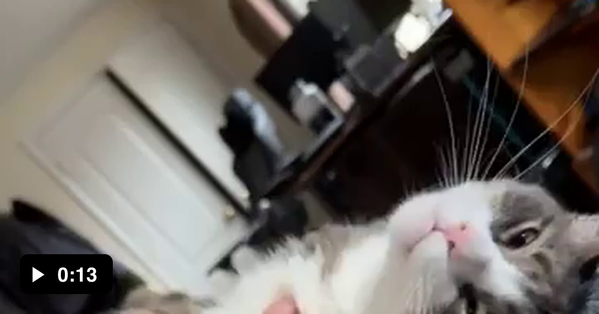 Squeaky sneezy - 9GAG