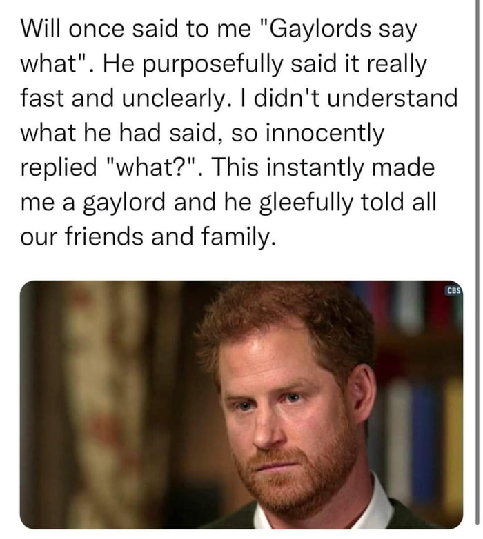 You're a gaylord harry - 9GAG