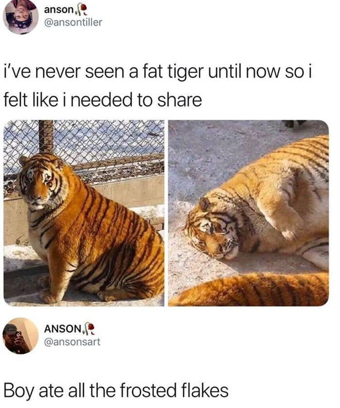 Big boi tiger. - 9GAG
