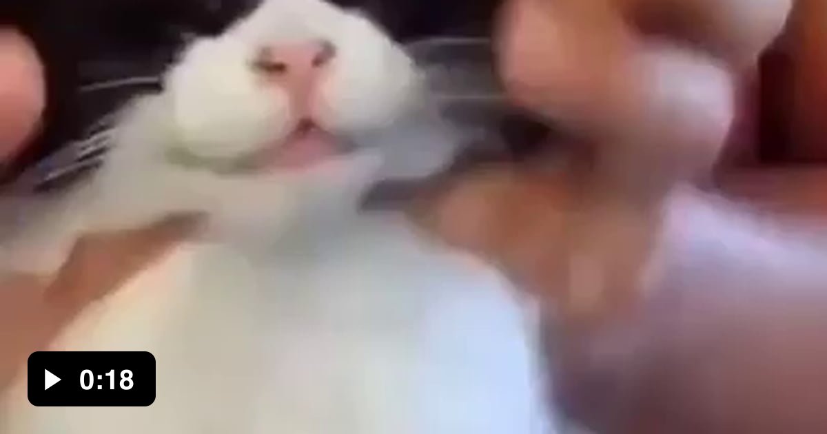 Glorious Scritches - 9GAG