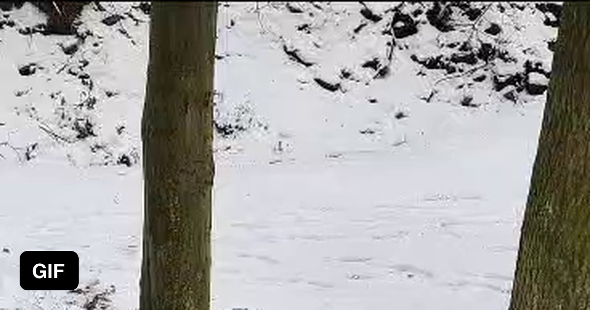 Finally winter :)) - 9GAG