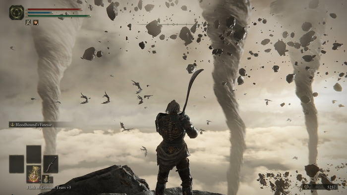 The wild beauty of Elden Ring - 9GAG