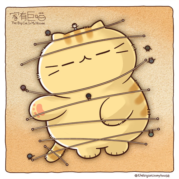 Gulliver's Travels：Big Cat - 9GAG