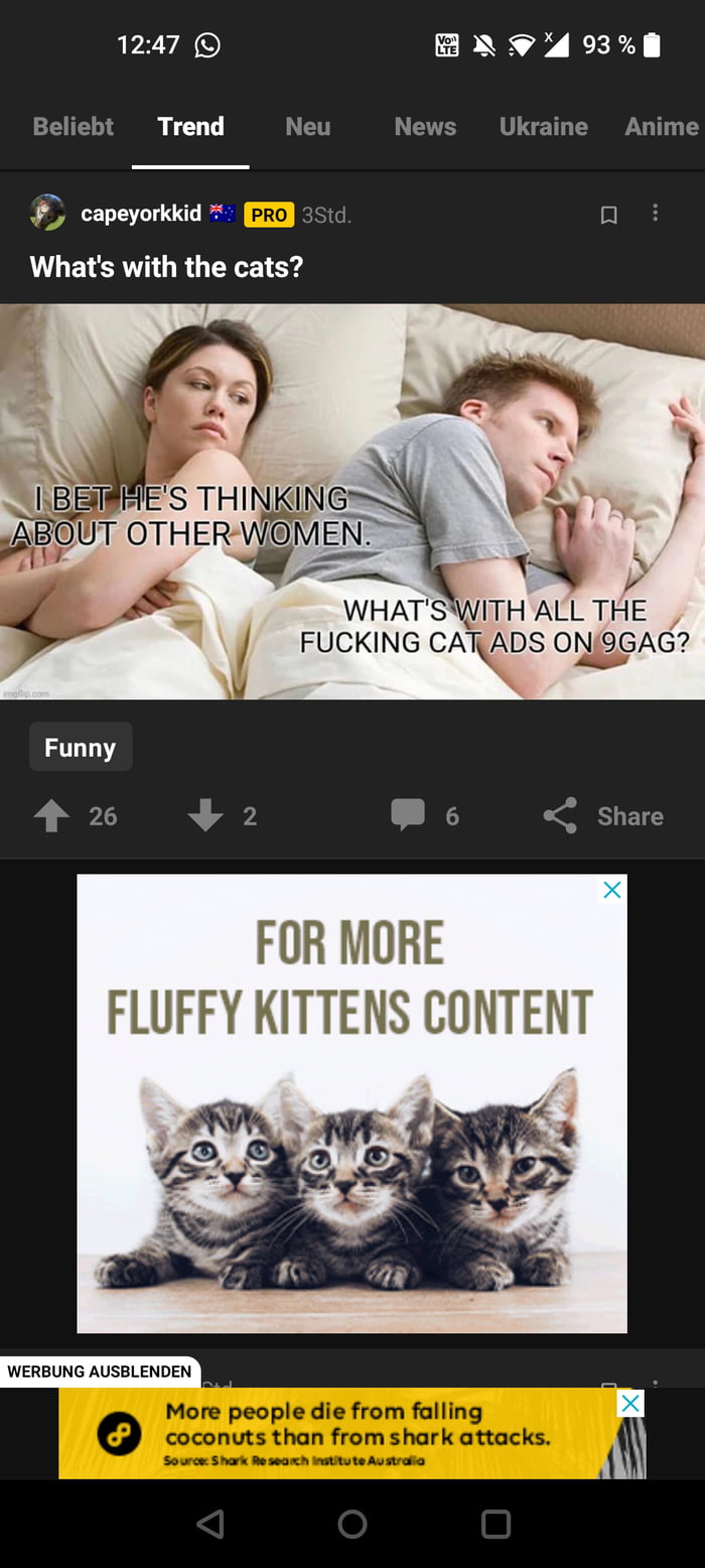 Yeah what's up with all the cat ads? - 9GAG
