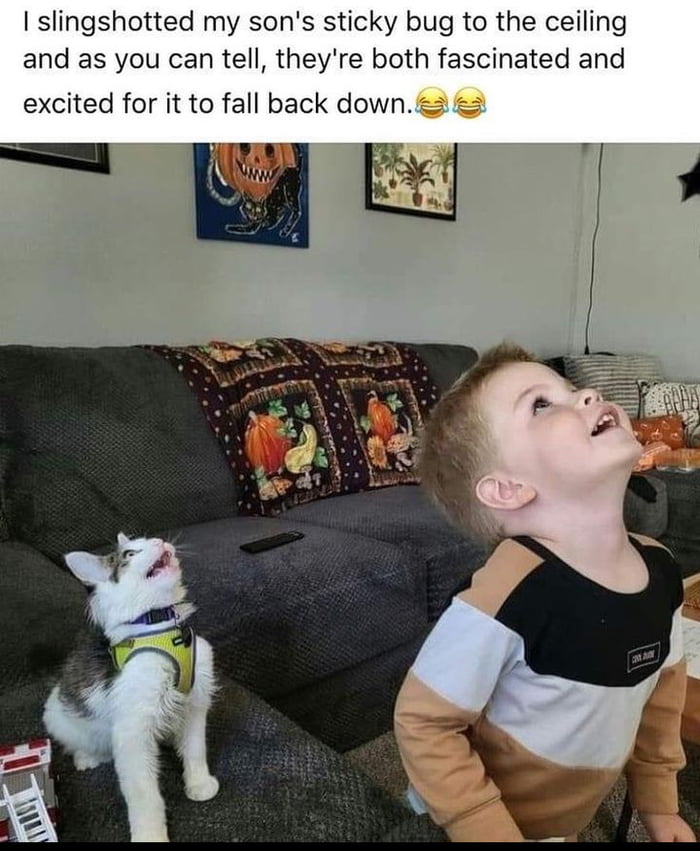 Two different species being derpy together. - 9GAG