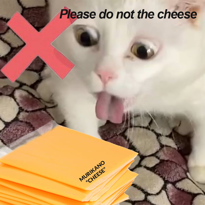 Plastic cheese - 9GAG