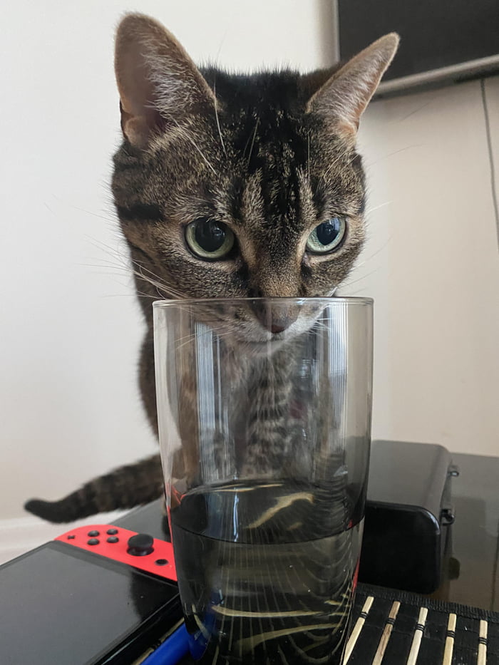 Did You Want Some 9gag