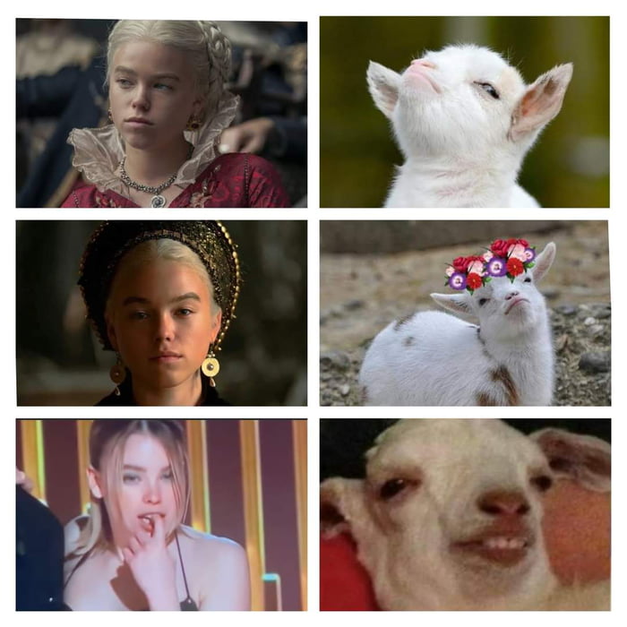 The Grumpy The Crowned The Wasted - 9GAG