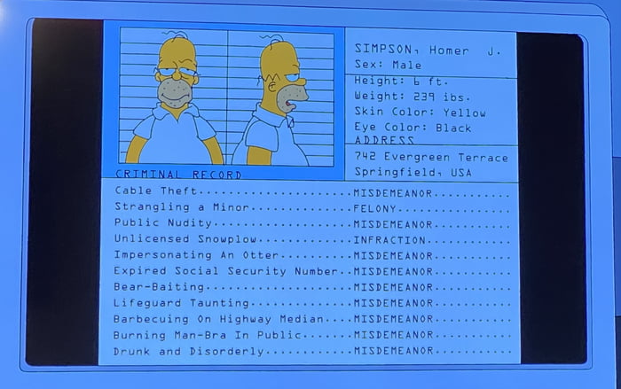 Homer Simpsons Rap Sheet - 9GAG