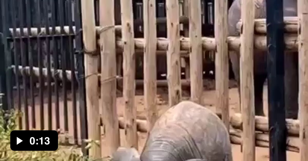 You dare kick it back at me! - 9GAG