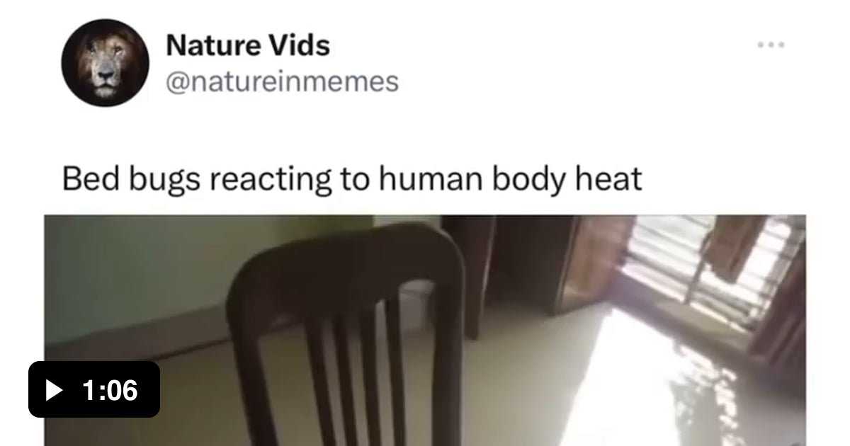 Bed bugs inside a chair reacting to human body heat - 9GAG
