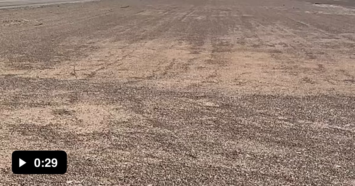 Full Down Autorotation in a Huey - 9GAG