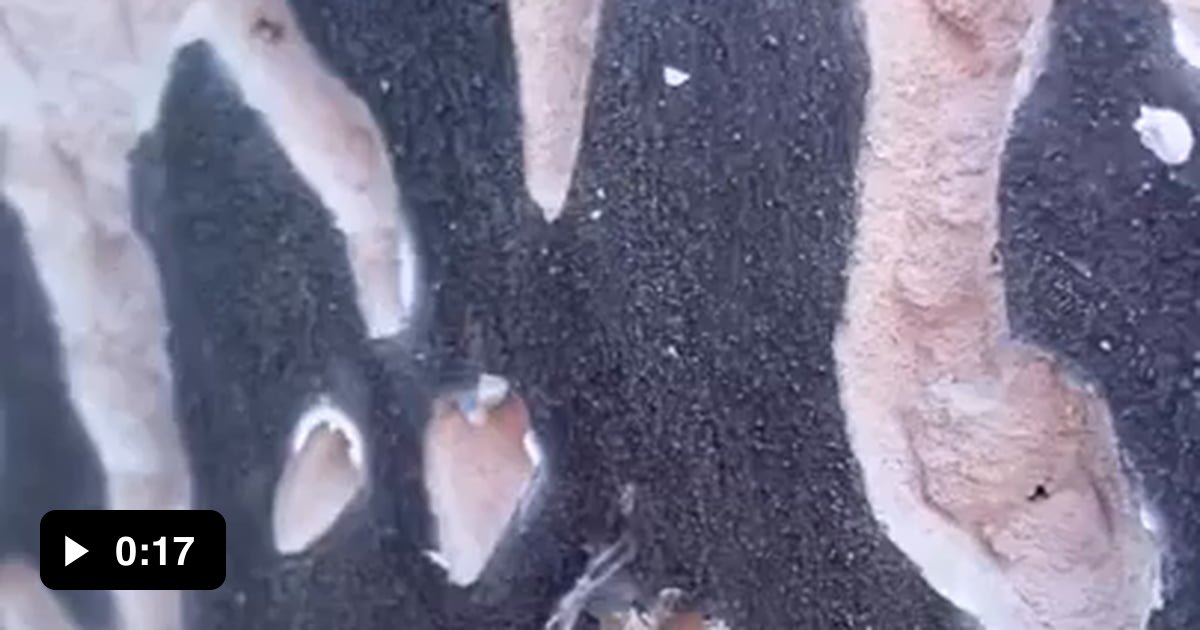 Cool scratching the surface art - 9GAG