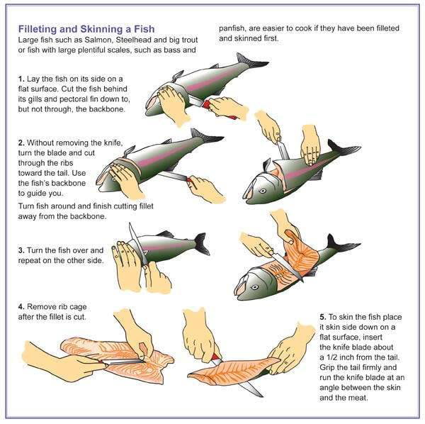 A cool guide explaining how to fillet and skin fish. - 9GAG