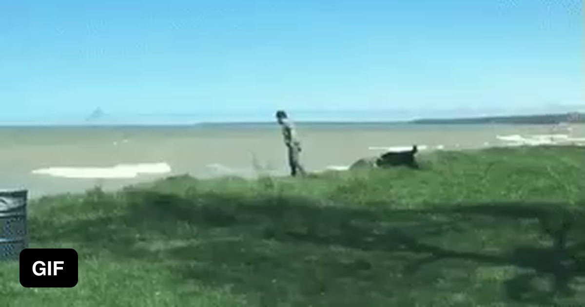 When you gotta roll you gotta roll - 9GAG