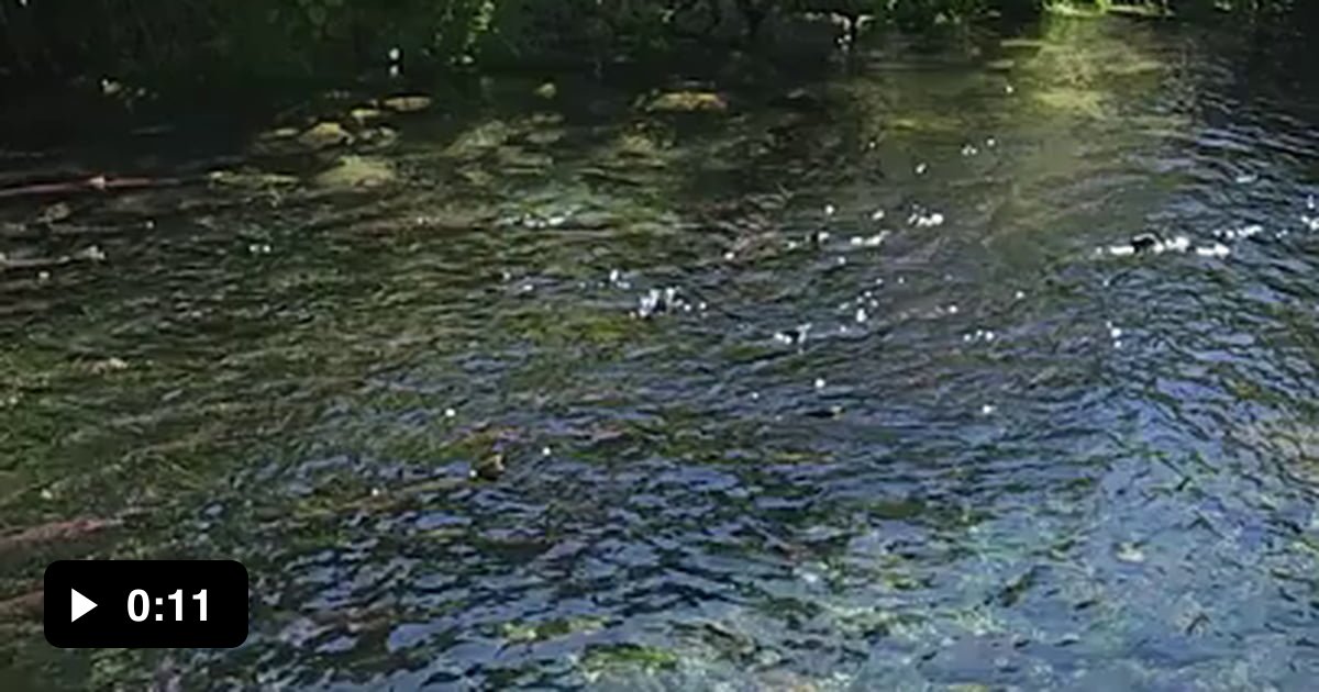 You want to see more fish? - 9GAG