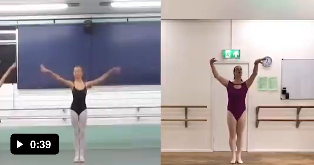 Arabians and Clydesdales: ‘Graceful As A Dump Truck’ Side-By-Side Views Of Ballerina vs. Trans ...