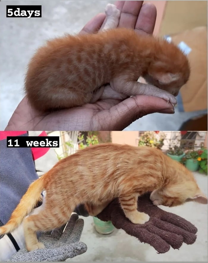 Just how fast the night changes - 9GAG