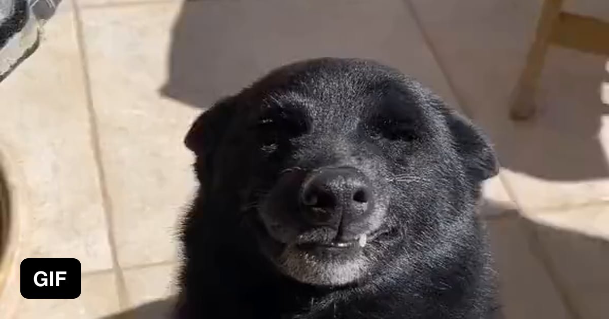 The smile you put on when you know you are guilty. - 9GAG