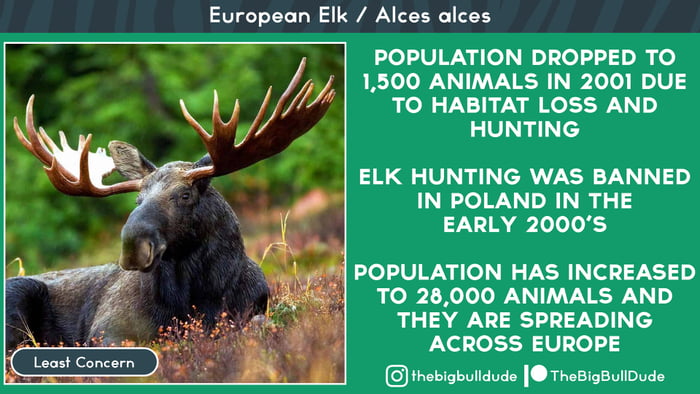 A real big boy is spreading across The Old Continent - 9GAG