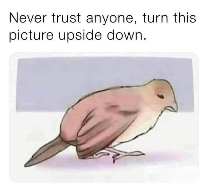 Beautiful 9gag