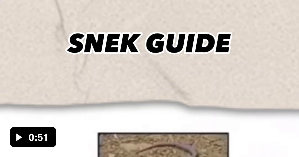 No step on snek - 9GAG